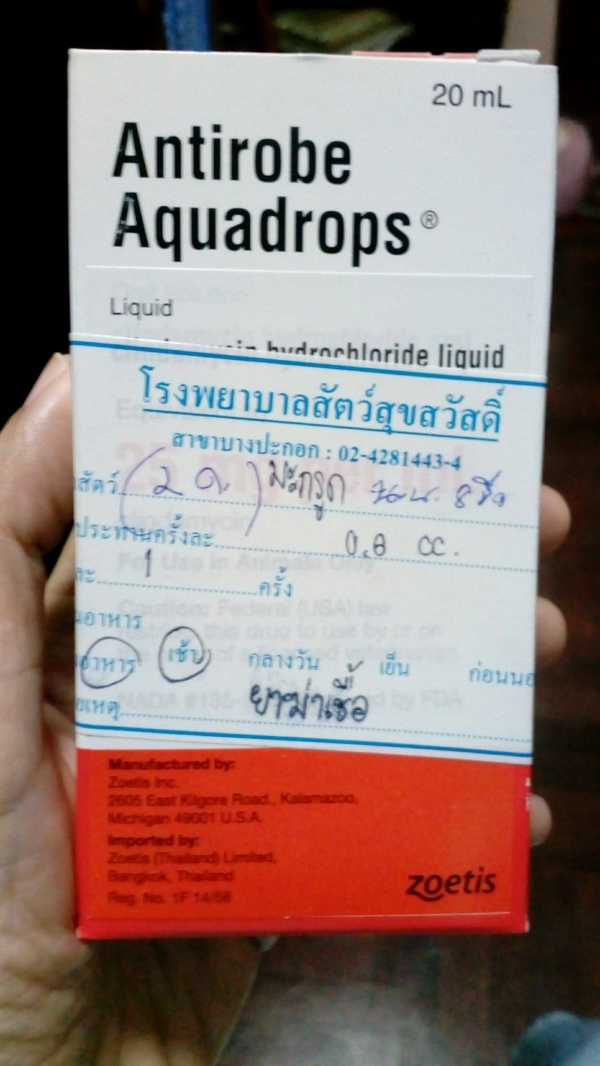 ยาฆ่าเชื้อรักษาแผลหลุมที่ลิ้นในปากหมา/แมว Antirobe aquadrop ...
