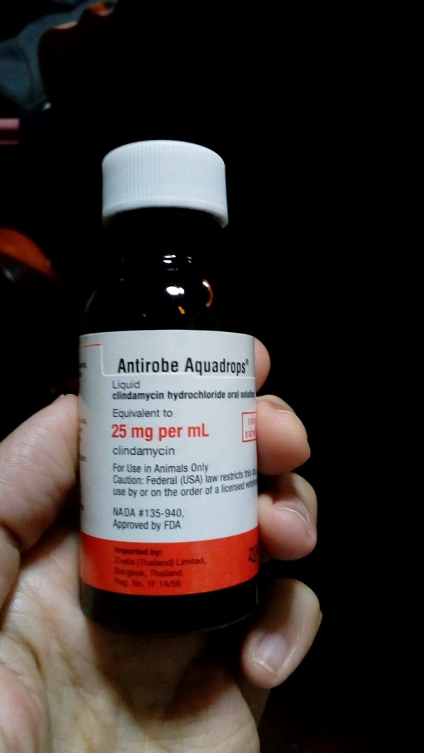 ยาฆ่าเชื้อรักษาแผลหลุมที่ลิ้นในปากหมา/แมว Antirobe aquadrop ...