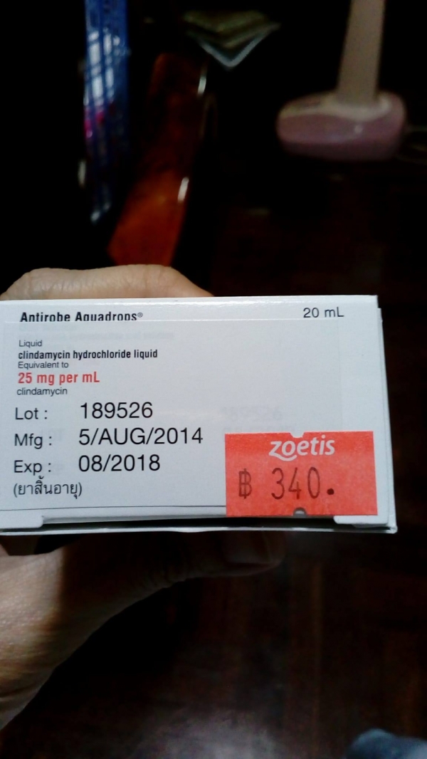 ยาฆ่าเชื้อรักษาแผลหลุมที่ลิ้นในปากหมา/แมว Antirobe aquadrop ...